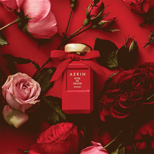 Find Your AERIN Rose Fragrance | Discover | Estée Lauder